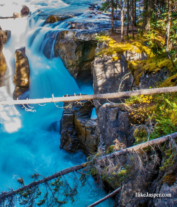 Hike Jasper - Sunwapta Falls